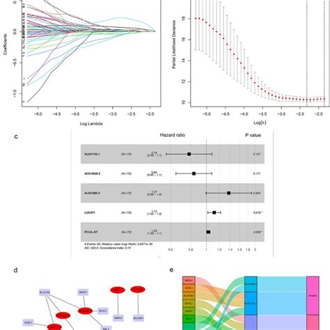 Regression Coefficient Diagram Based On The Lasso Algorithm And Download Scientific Diagram