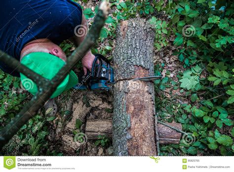 A Man With A Chainsaw Cuts The Tree Stock Image Image Of Handyman Profession