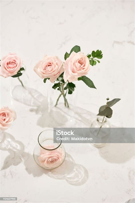 핑크 바탕에 꽃병에 아름 다운 장미 꽃입니다 여자 또는 어머니 날에 대 한 인사말 카드입니다 0명에 대한 스톡 사진 및 기타 이미지 Istock