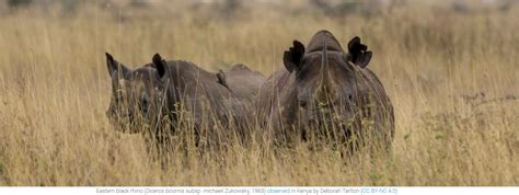 Gbif Sweden Free And Open Access To Biodiversity Data