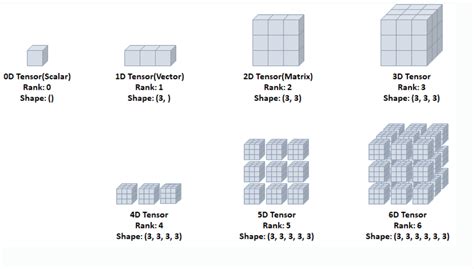 Pytorch Tensor Basics