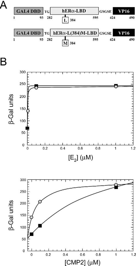 Figure 1 From A Functionally Orthogonal Estrogen Receptor Based