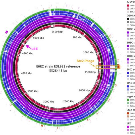 Mauve For Multiple Genome Alignment Mauve Is A Free Alignment Tool