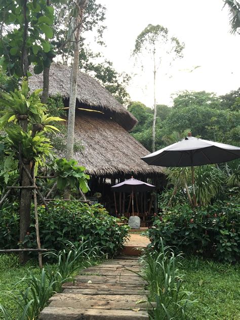 รูป วานร คูซีน บาย ทรีมังกี้ส์ ภูเก็ต Wongnai