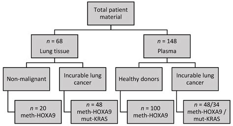 Biologic Material Flow Chart Illustrating The Types Of Biologic Download Scientific Diagram