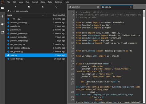 Online Editor Odoo Documentation