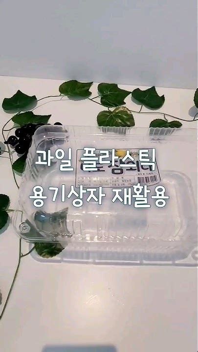 과일 포장 플라스틱 통 포장재 재활용 업사이클링 제로웨이스트 실천 제로웨이스트 Shorts Youtube