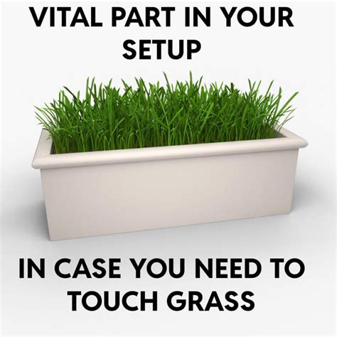 Go Touch Grass Gag