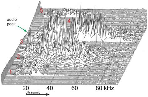 Waterfall Display Dadisp Time Into The Page Showing Frequency Download Scientific Diagram