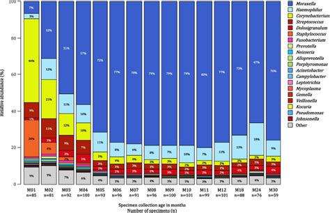 Barplots Of Compositional Mean Relative Abundances Of The 20 Most Download Scientific Diagram