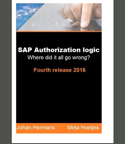 How Does Sap Logic Deal With Authorization Profiles Combination