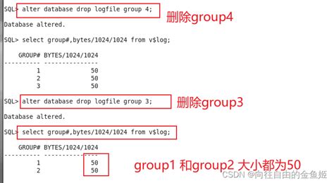 Oracle数据库日志操作与归档模式 Csdn博客
