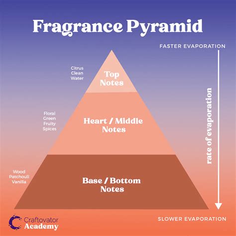Mengenal Istilah Top Notes Middle Notes Dan Base Notes Dalam Parfum