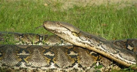Python Geo Fr