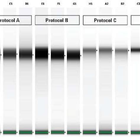 PDF Analysis Of High Molecular Weight Genomic DNA Using The Agilent