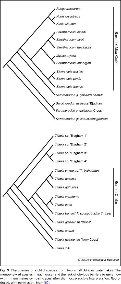 Figure 3 From Phylogenetic Comparative Methods And The Geography Of