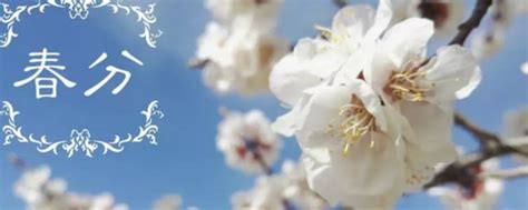 春分立蛋的由来 业百科