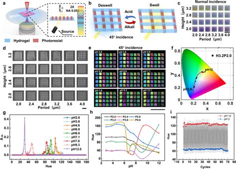 Nanograting Based Dynamic Structural Colors Using Heterogeneous Materials Pmc