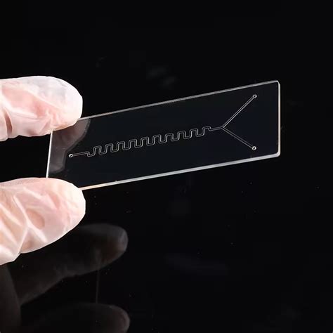 Bf33 Microfluidic Glass Chip For Biological And Rapid Testing