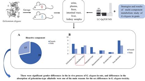 Sex Differences In The In Vivo Exposure Process Of Multiple Components