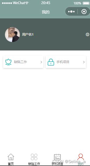 案例176微信小程序软件缺陷管理系统小程序端的问题管理平台 Csdn博客