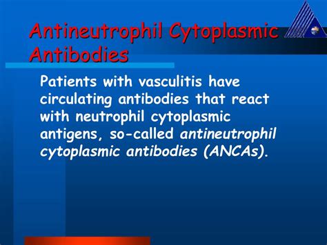 Ppt Vasculitis Powerpoint Presentation Free Download Id5507371