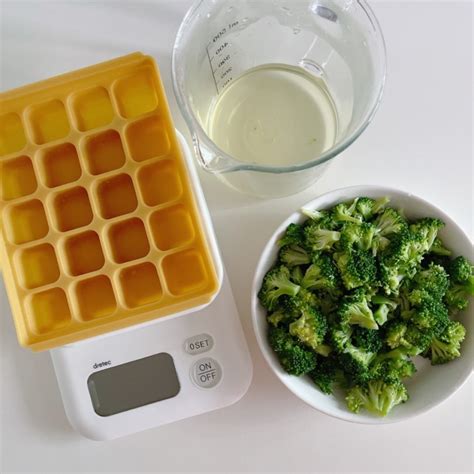 초기 토핑이유식 브로콜리 큐브 만드는법 네이버 블로그