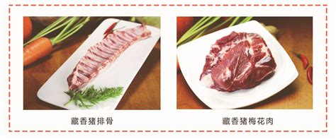 雪山里的藏香猪 传承亲情 知乎