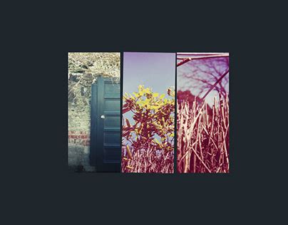 Cross Process Projects Photos Videos Logos Illustrations And Branding On Behance