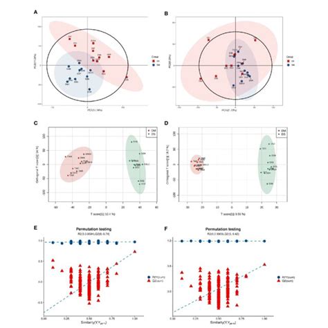 Multivariate Statistical Analysis A Principal Component Analysis