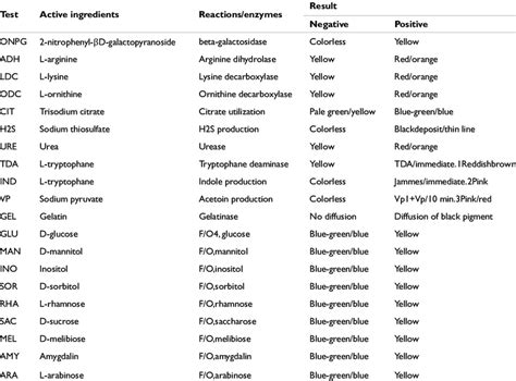 Interpretation Of Biochemical Tests On Api 20e Strip Download Table