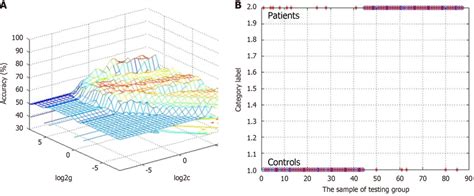 Visualization Of The Support Vector Machine Classification Based On