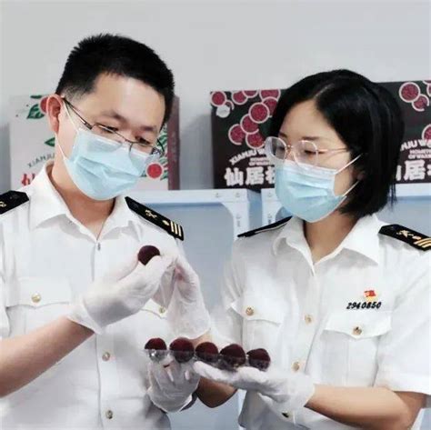 【101巨新鲜】今日，今年首批“仙梅”出口海外杨梅台州检验