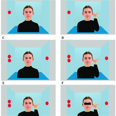 examples of room images used in experiment 2a a gaze averted agent