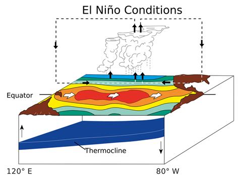 96 El Niño And La Niña Introduction To Oceanography