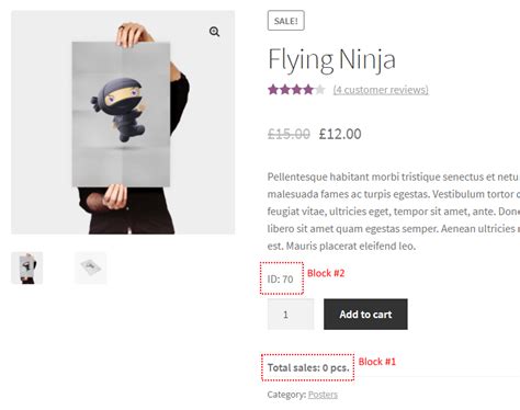 Product Info For Woocommerce Plugin Booster For Woocommerce