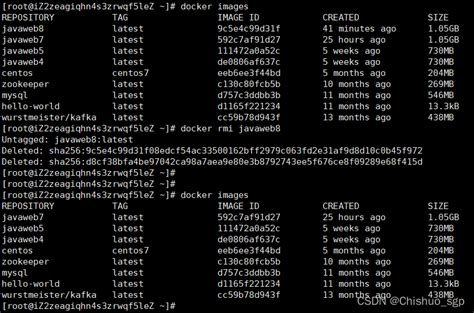 docker创建javaweb容器并部署应用 使用docker 新建一个容器 并在容器中可以运行web应用 csdn博客