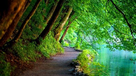 Cute Nature Wallpapers Top 20 Best Cute Nature Wallpapers [ Hq ]