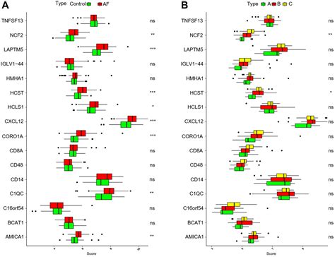 Identification Of M6A Regulator Mediated RNA Methylation Modification Patterns And Key Immune