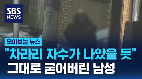 너무 놀라 그대로 굳었다호랑이 굴 제 발로 들어간 이들의 최후 Sbs 모아보는 뉴스 Youtube