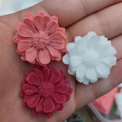 خرید و قیمت مولد گل داوودی با قطر 4و نیم سانت مولد گل حلوایی مولد گل