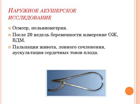 Методы обследования беременных и рожениц Акушерская терминология Диагностика беременности