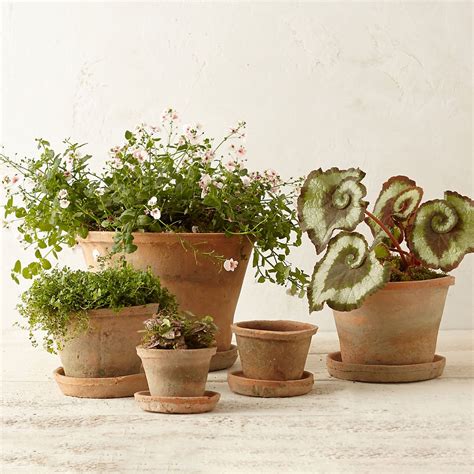 Глиняные горшочки в интерьере 82 фото