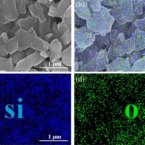 Sem Image Atomic Percentage And Element Diagram Of The Selected Download Scientific Diagram