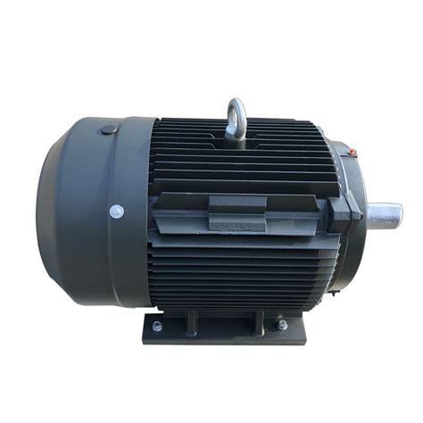 Asynchronous Induction Electrical Motor Iec Standard Motor High