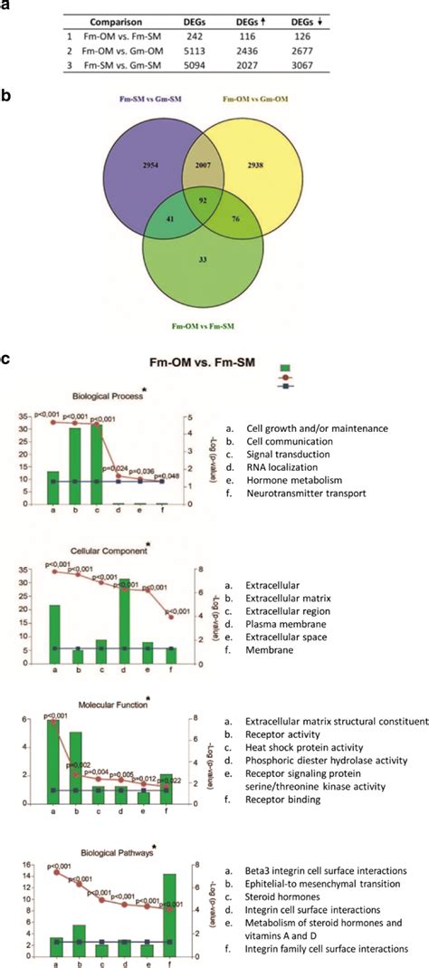 Microarray Results Microarray Results Analysed According To Scheme A Download Scientific