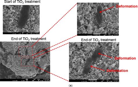 Figure 1 From Graphene Based Tio2 Cement Composites To Enhance The Antibacterial Effect Of Self