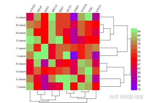 强烈安利！这里有一款超级简单的热图绘制软件 知乎