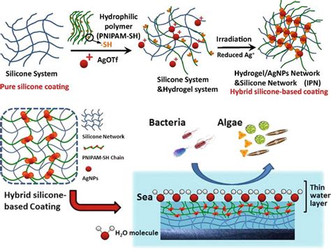 Developments And Challenges Of Hydrogel Coatings For Long Term Marine Antifouling Applications