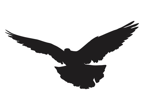 Single Flying Bird Silhouette Clipart
